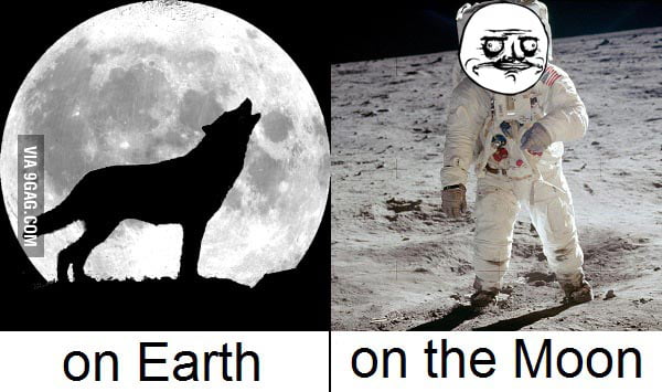 Wolves logic - 9GAG