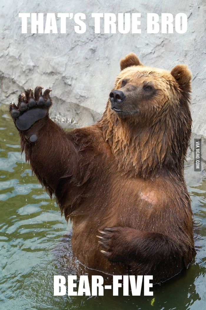 Bear five - 9GAG