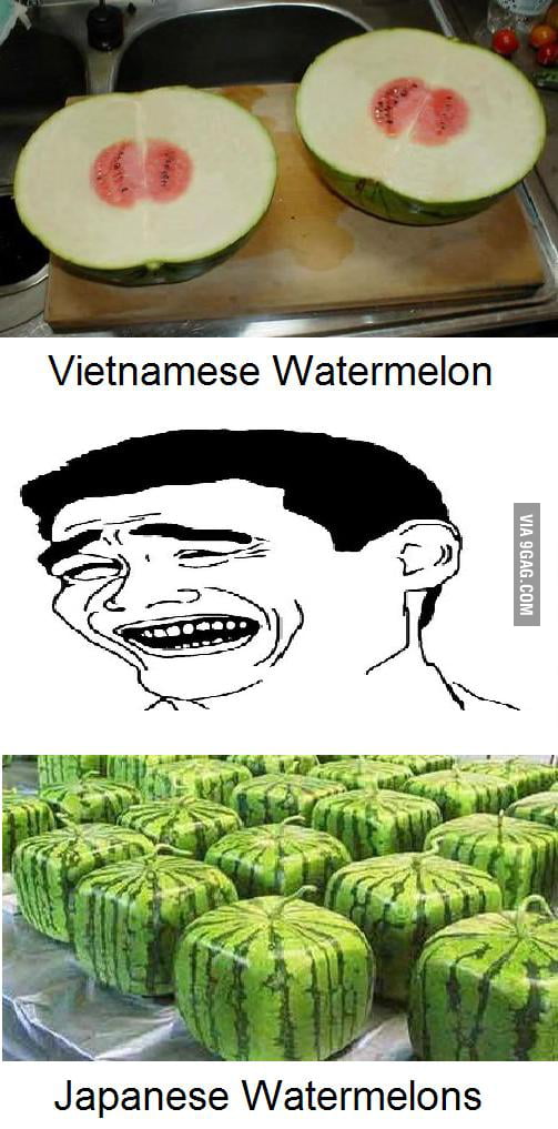 Just Melons - 9GAG
