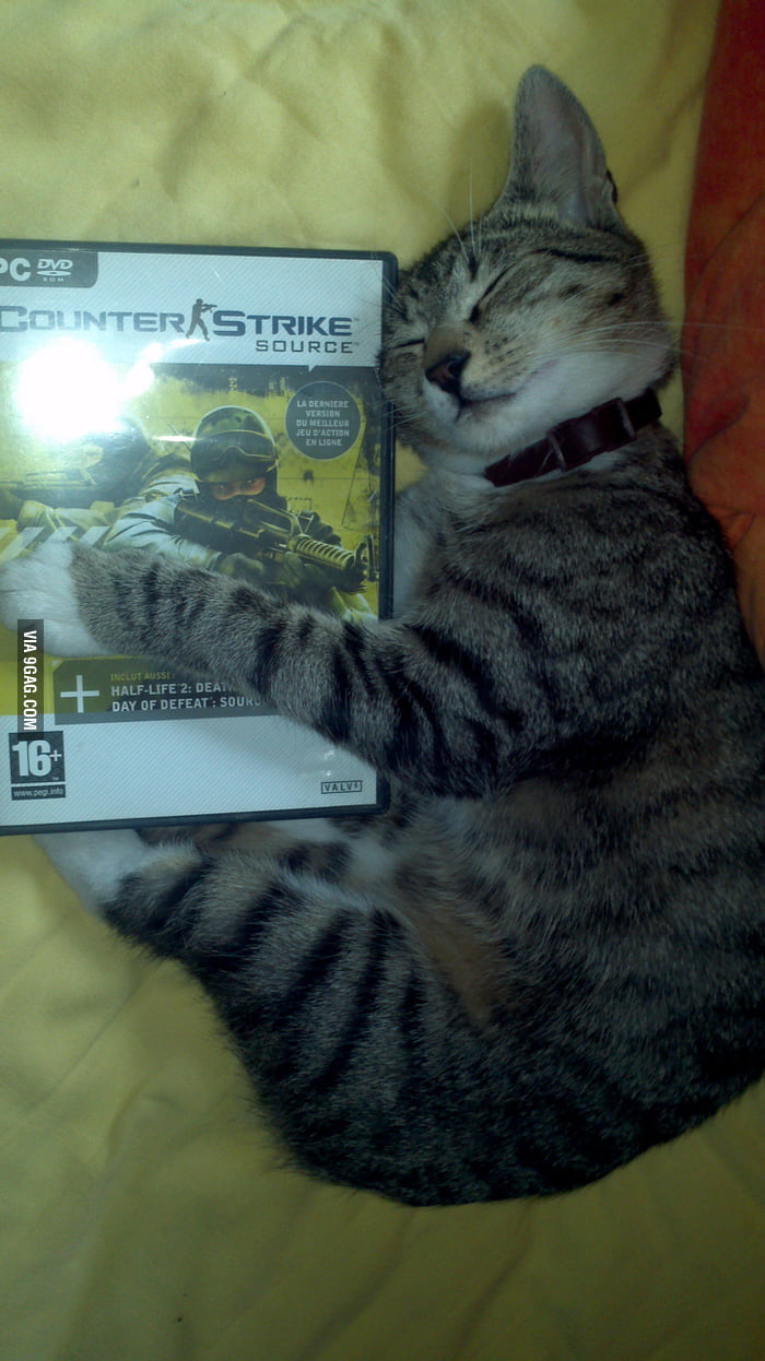 Lol cat with counter strike source - 9GAG