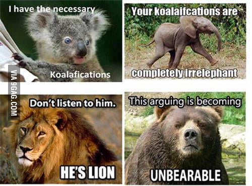 Koalifications - 9GAG