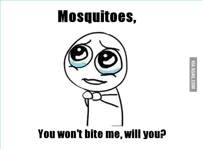 Pleeeeeease don't! - 9GAG