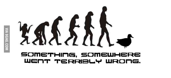 Something Somewhere Went Terribly Wrong - 9GAG