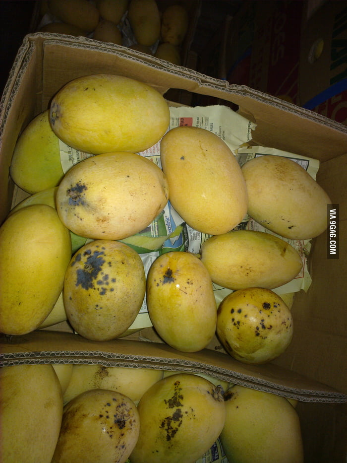 2nd mango picture - 9GAG