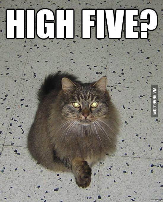 High five? - 9GAG