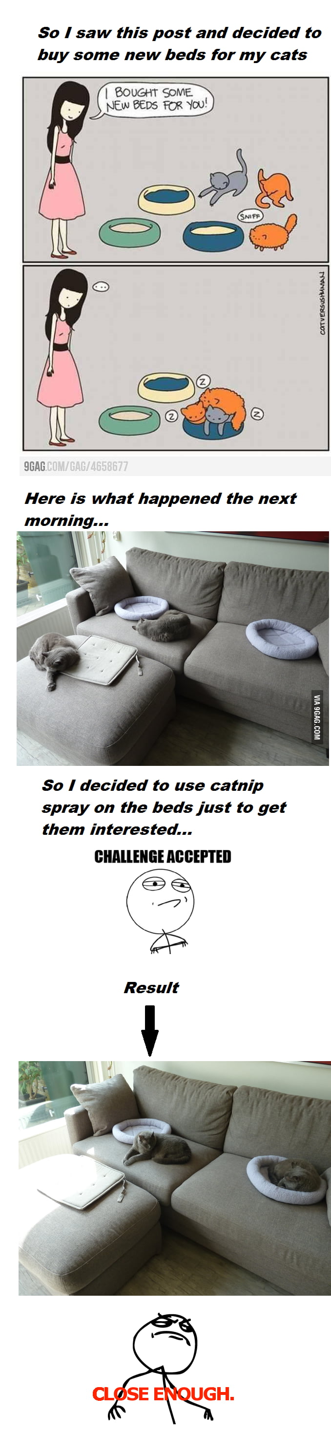 Cat logic - 9GAG