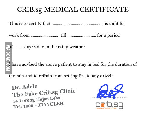 Doctor Certificate Memes