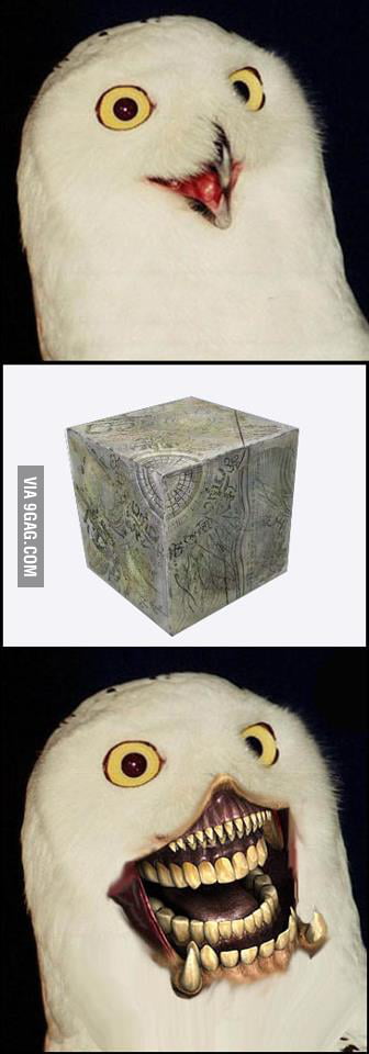 The Allspark Meme - 9GAG