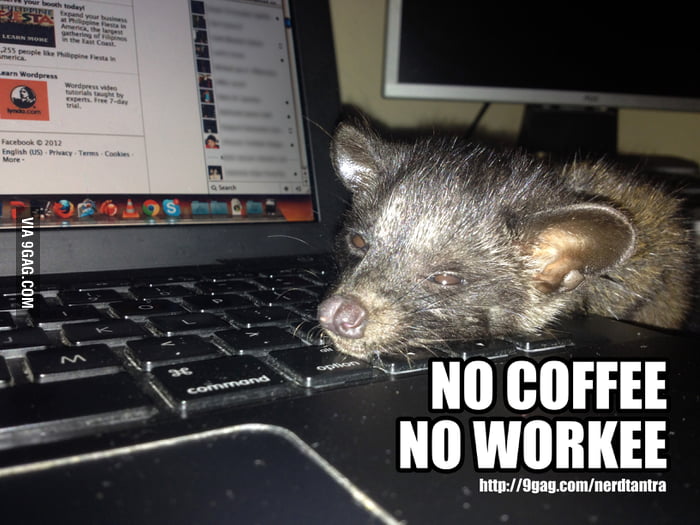 No coffee no work - 9GAG