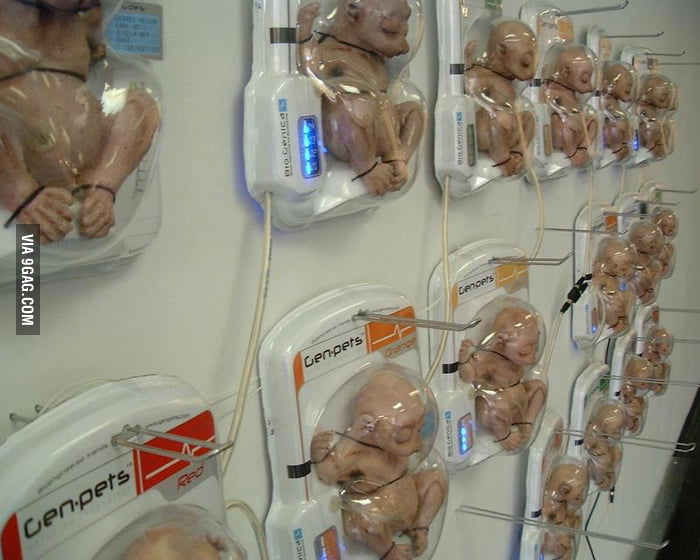 GENPETS is this for real?? - 9GAG