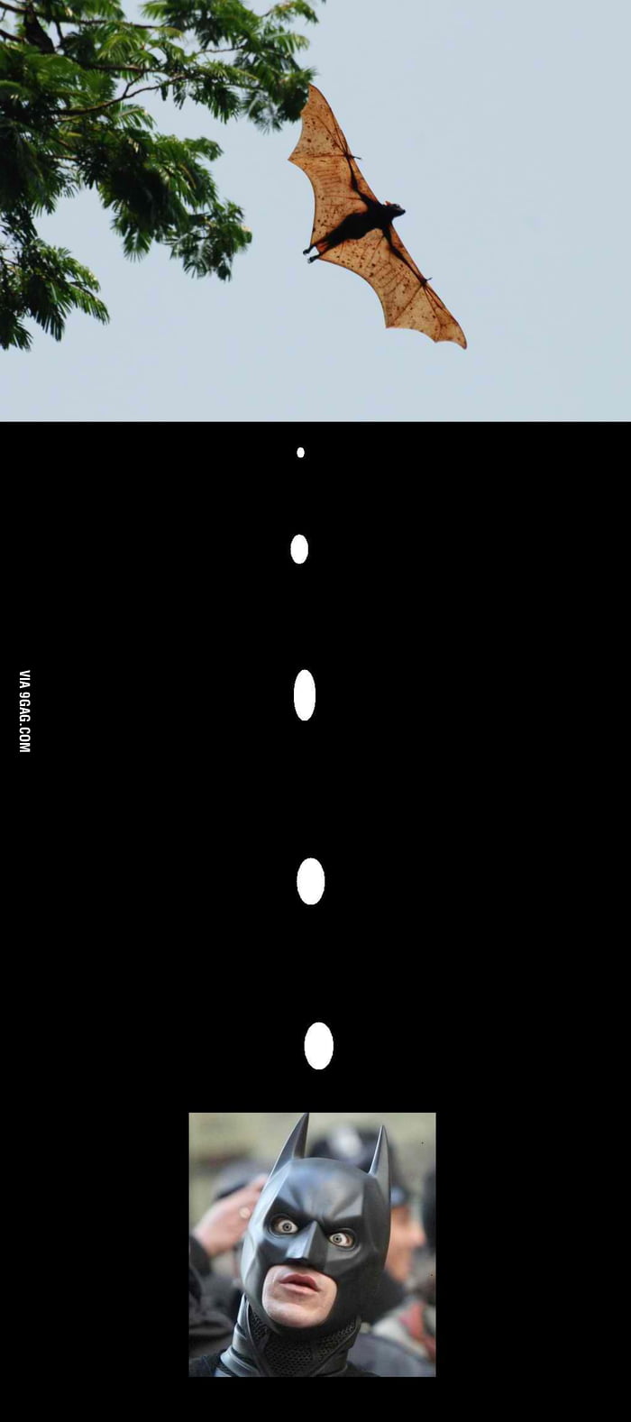 The REAL BATMAN . . - 9GAG