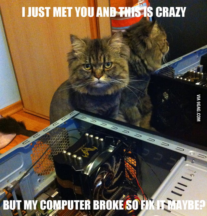 Please, human - 9GAG