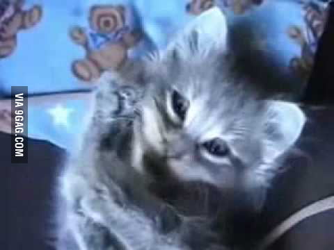 THE NUM NUM NUM NUM NUM NUM NUM SONG - 9GAG