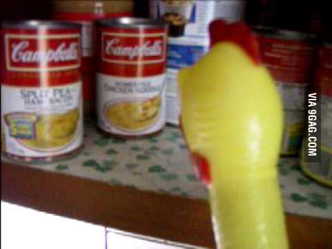 Dramatic Chicken Strikes Again - 9GAG