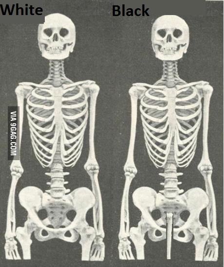 Genetics.... - 9GAG