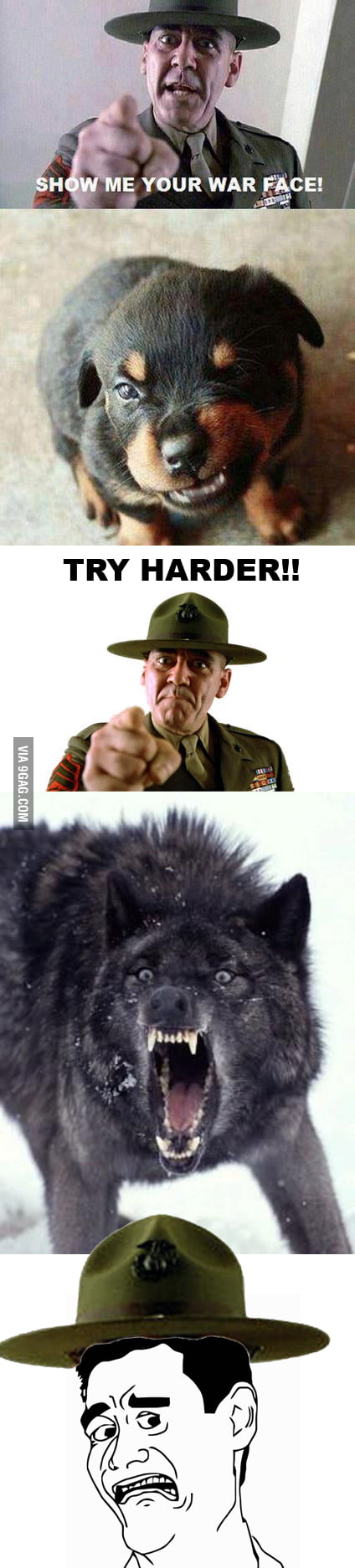 Try harder!!! - 9GAG