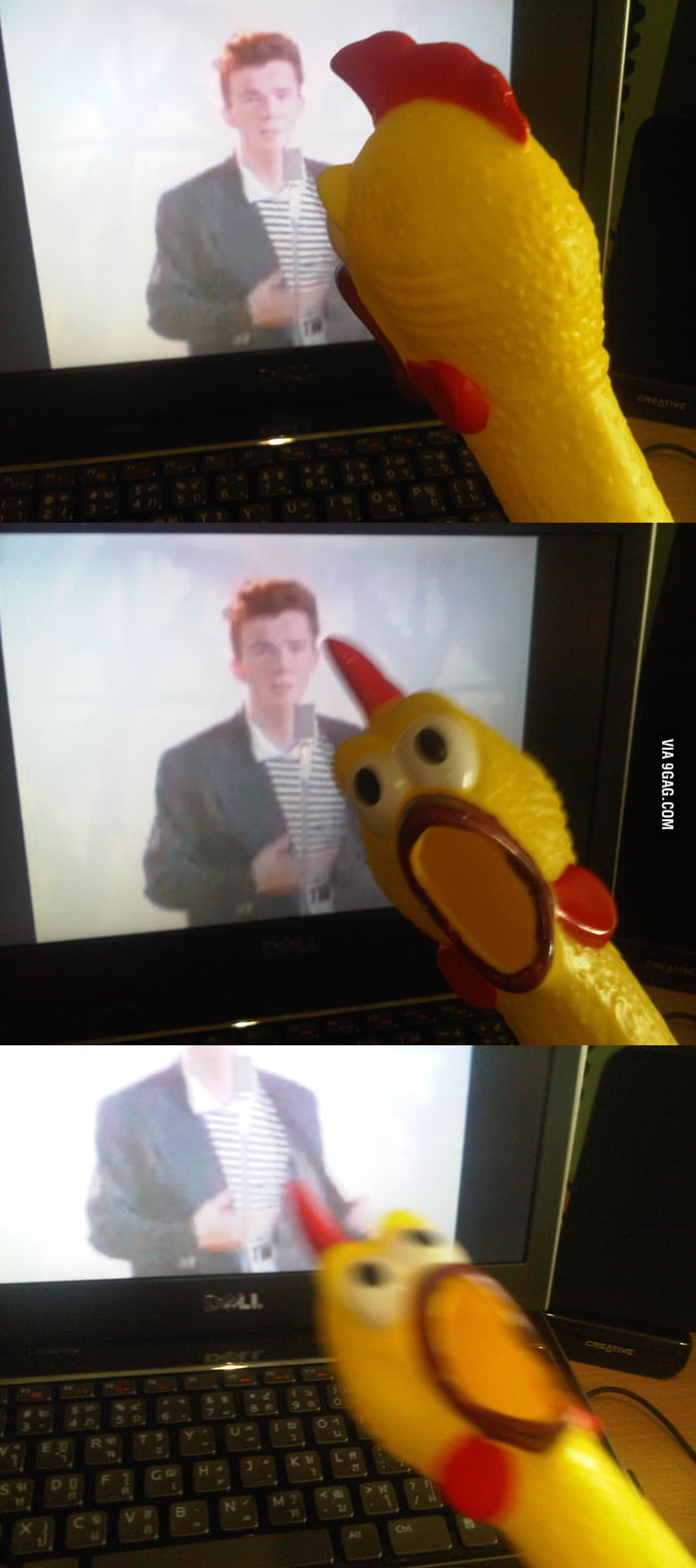 Dramatic Chicken got RickRolled - 9GAG