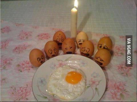 Poor eggs.. - 9GAG