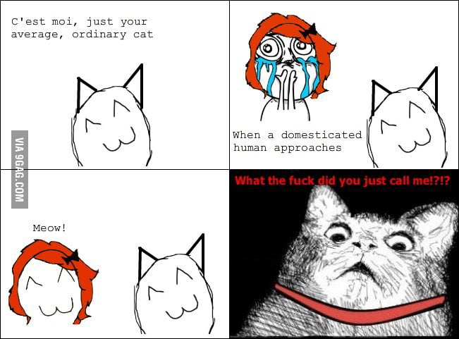 Cat language - 9GAG