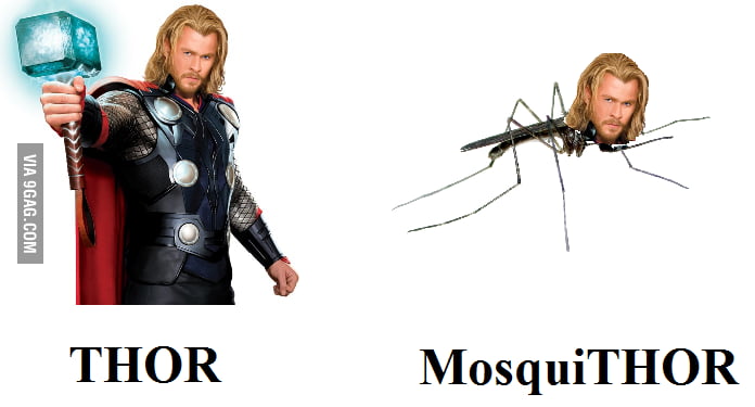 So Thor jokes have been everywhere lately... - 9GAG