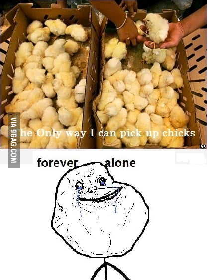 Pick up some chicks..forever alone - 9GAG