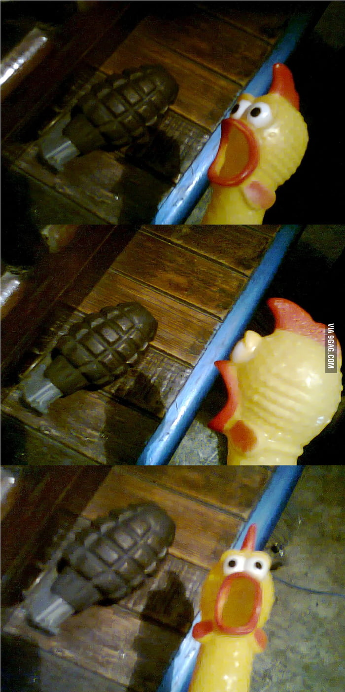 Dramatic chicken is dramatic - 9GAG