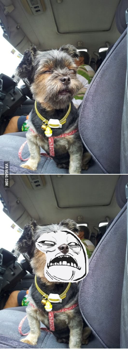 Mmmmmm Sweet Jesus, That Sun....... - 9GAG