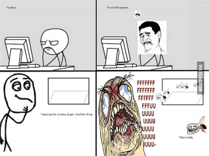 Fly's trolling derp - 9GAG