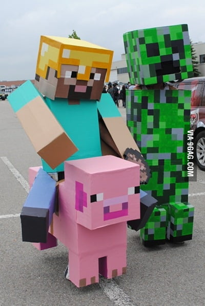 Just Minecraft costume. - 9GAG