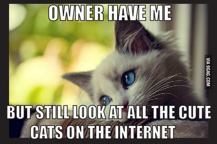 First world cat problems. - 9GAG