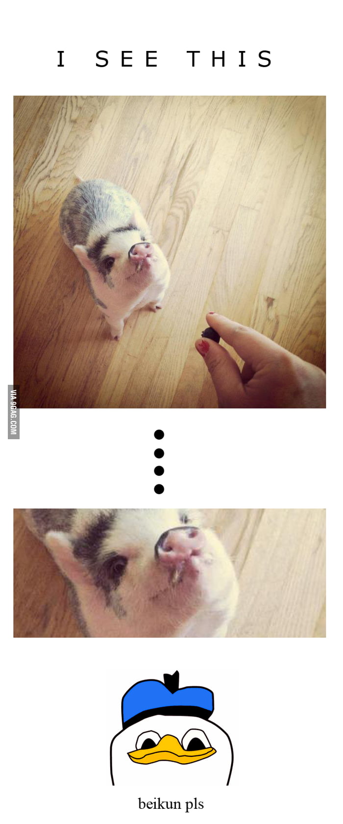 Actually is dolan - 9GAG