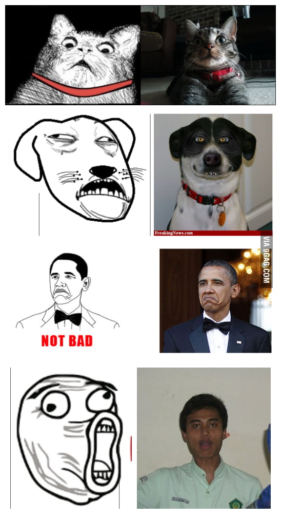 The same face - 9GAG