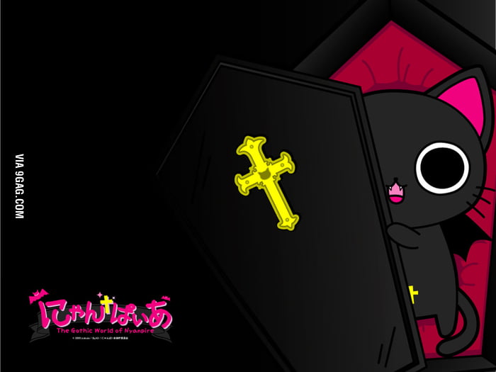 Nyanpire ... cute and of course better than fagot vampire - 9GAG