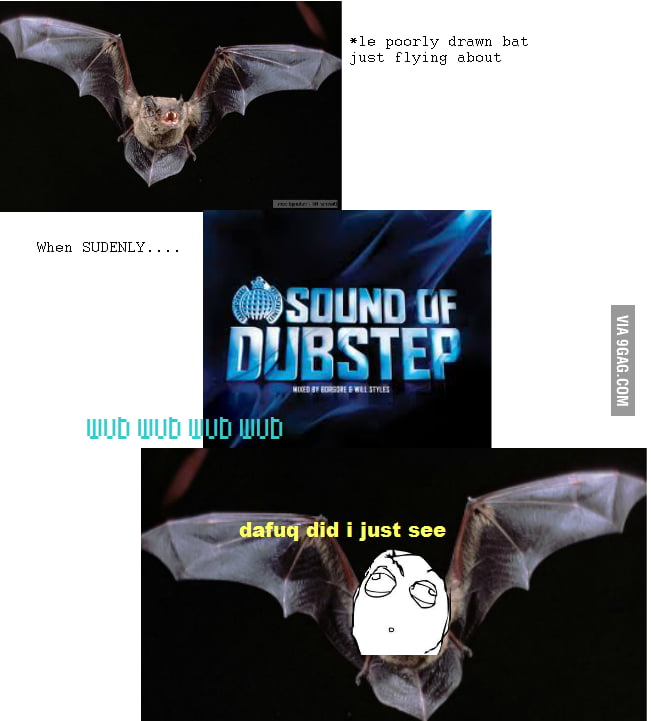 Bats and dubstep - 9GAG
