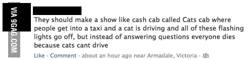Cats Cab - 9GAG
