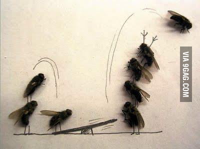 Dead fly art, surprisingly hilarious - 9GAG