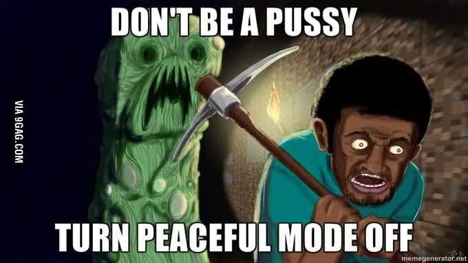 Just Minecraft - 9GAG