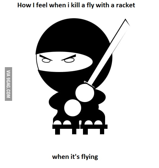 Killing fly - 9GAG