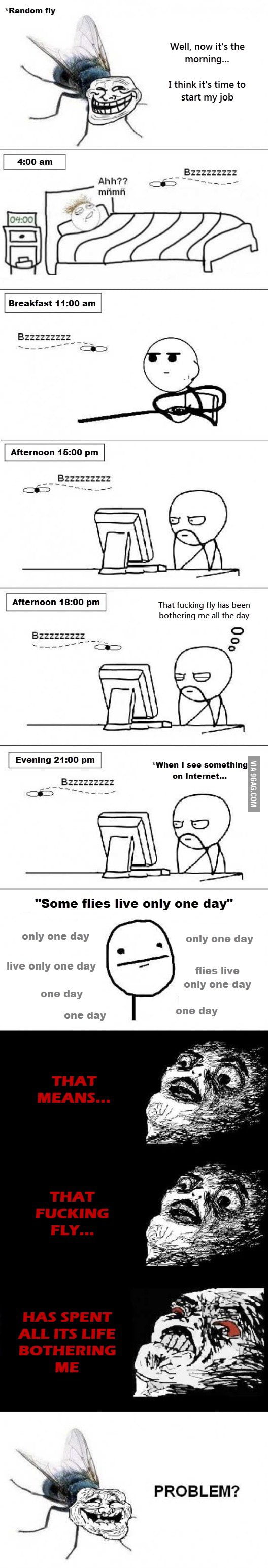Troll fly - 9GAG