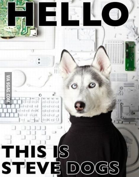 Steve Dogs - 9GAG