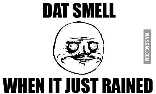 Dat smell - 9GAG