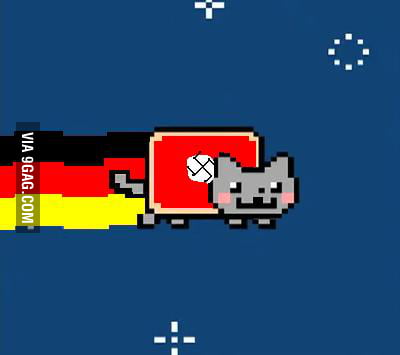 Nein-Cat NEIN NEIN NEIN NEIN - 9GAG