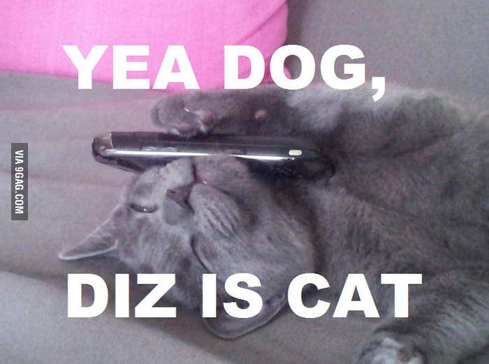 YEA DOG, - 9GAG