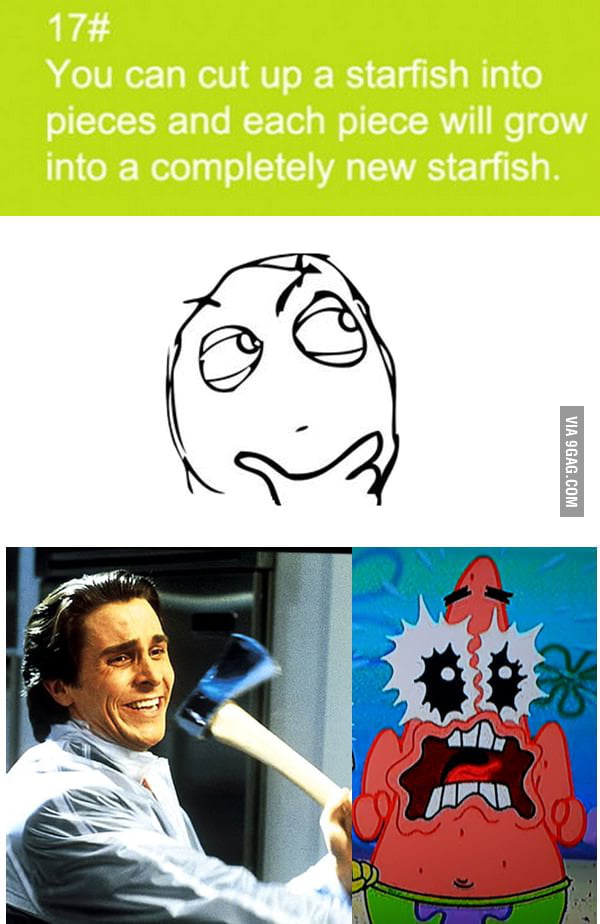 Poor Patrick.....s - 9GAG