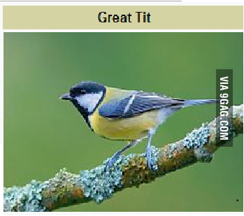 Wikipedia Lies. - 9GAG