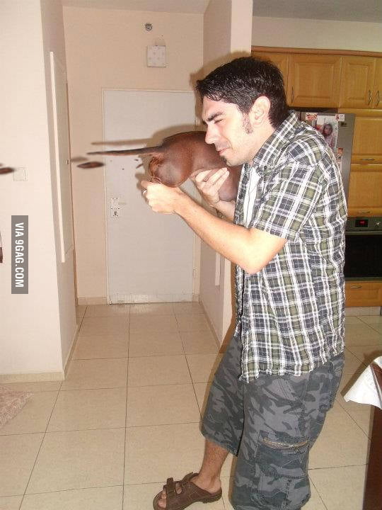 Poop launcher - 9GAG