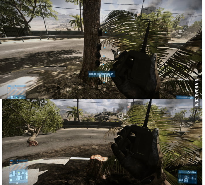 How to cut down a tree... bf style - 9GAG