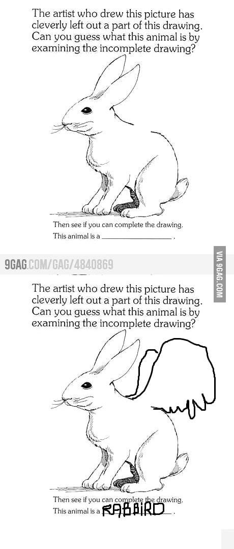 IT'S A F**** RABBIRD! - 9GAG