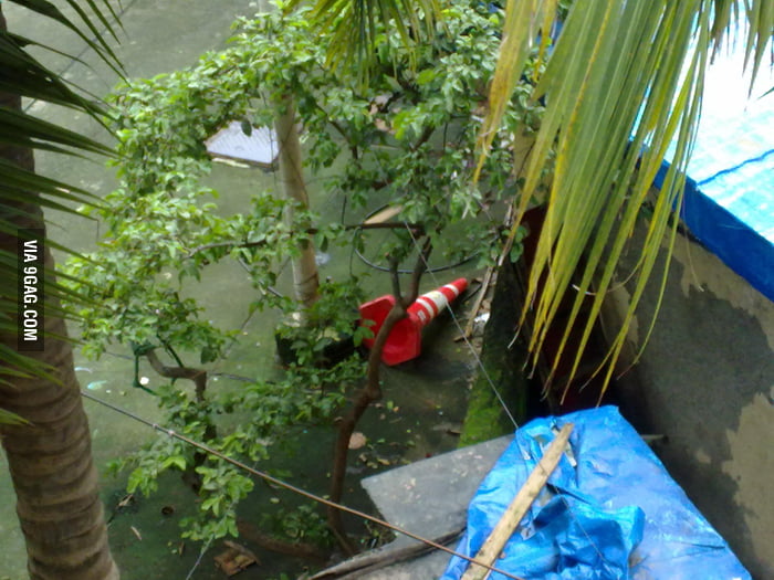 VLC media player Crashed - 9GAG