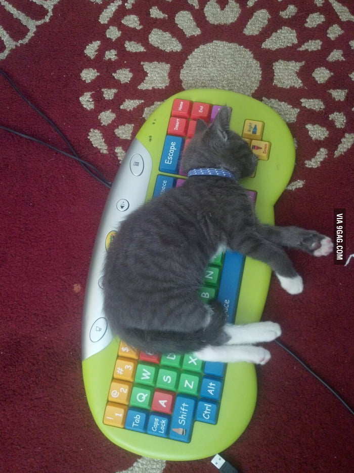 Decoy keyboard - 9GAG